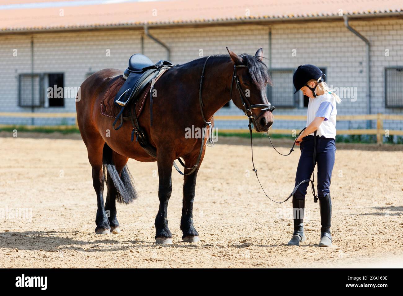 Horse riding school. Little children girls at group training equestrian ...