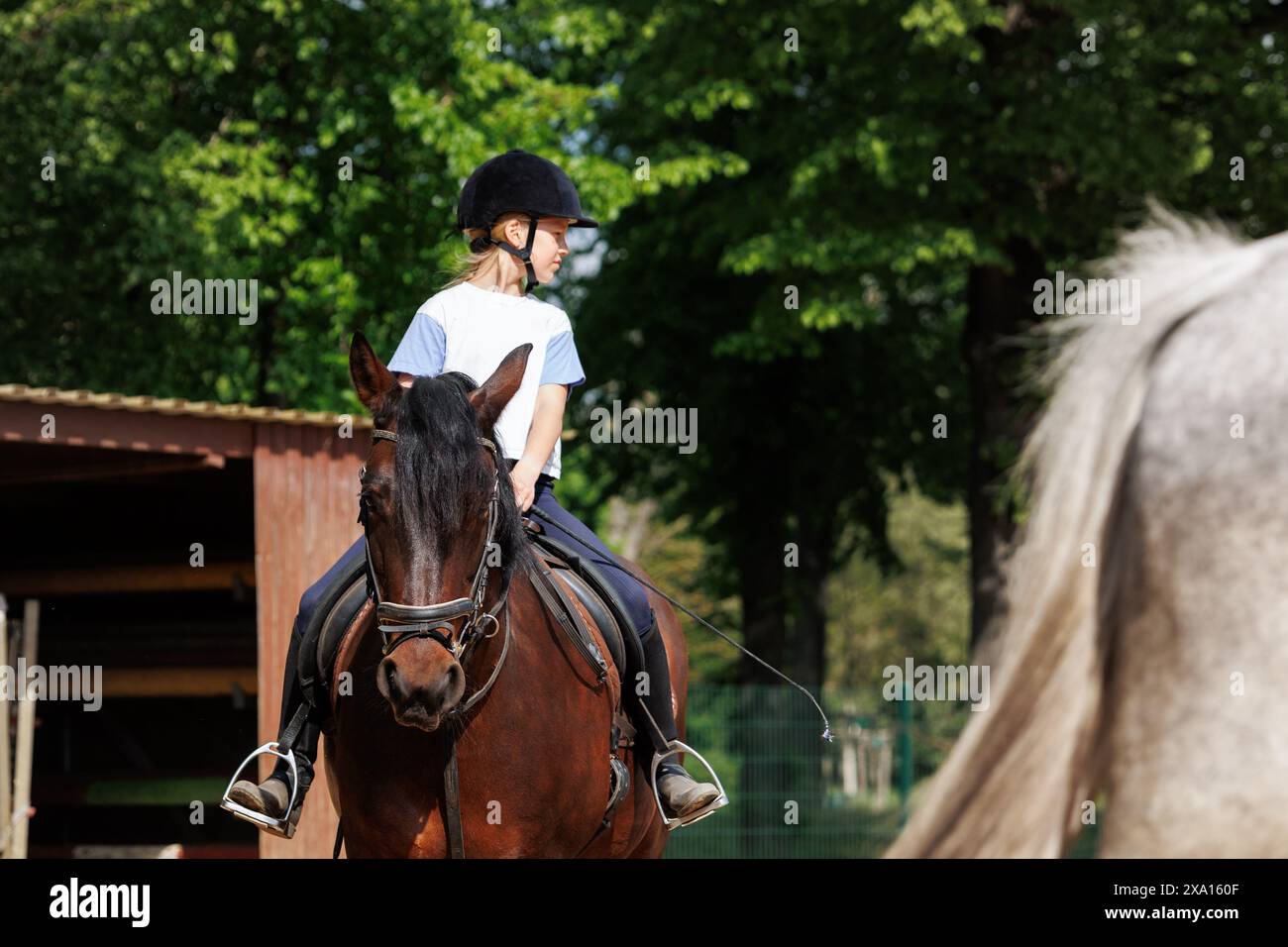 Horse riding school. Little children girls at group training equestrian ...