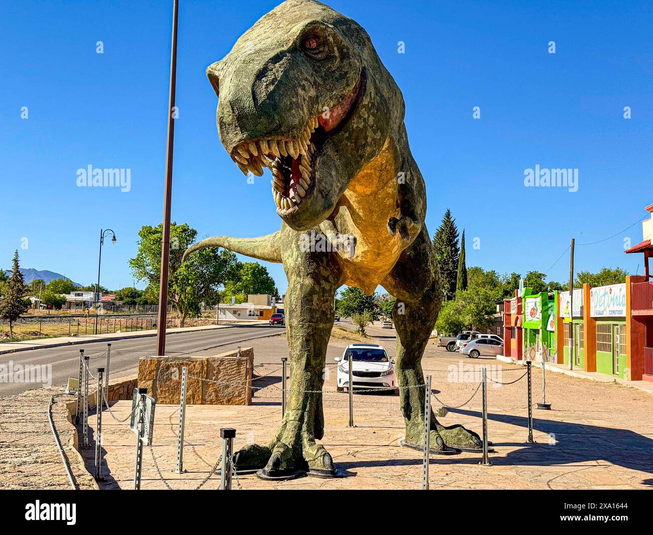 Tiranosaurio rex Dinosaurio, A Tyrannosaurus rex dinosaur sculpture in ...