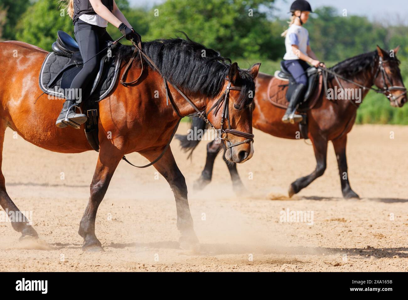 Horse riding school. Little children girls at group training equestrian ...
