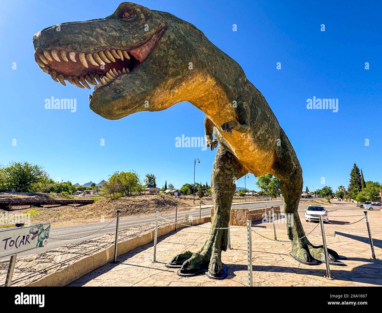 Tiranosaurio rex Dinosaurio, A Tyrannosaurus rex dinosaur sculpture in ...
