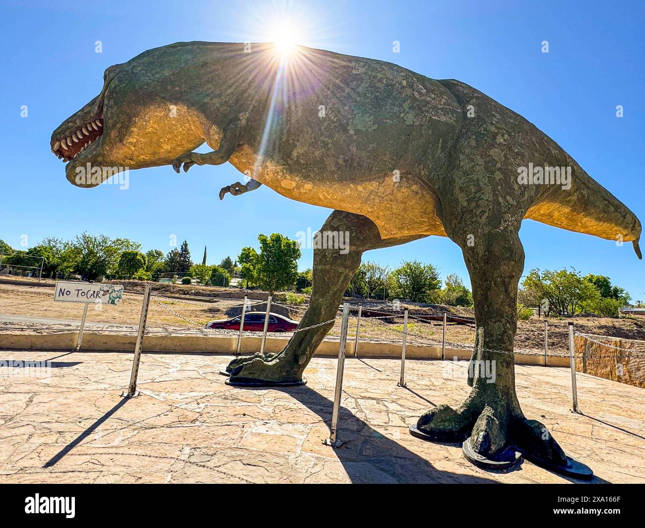 Tiranosaurio rex Dinosaurio, A Tyrannosaurus rex dinosaur sculpture in ...