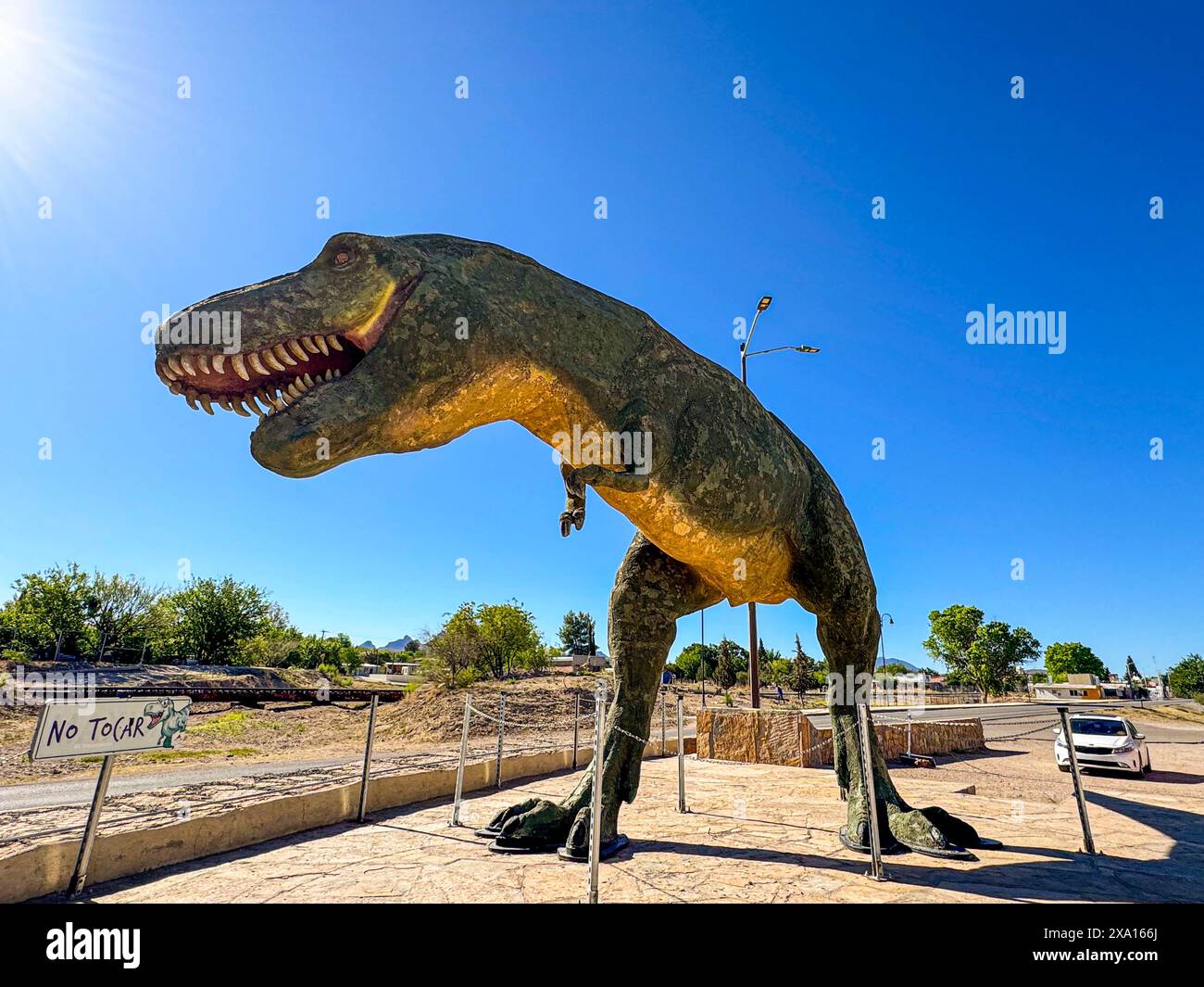 Tiranosaurio rex Dinosaurio, A Tyrannosaurus rex dinosaur sculpture in ...