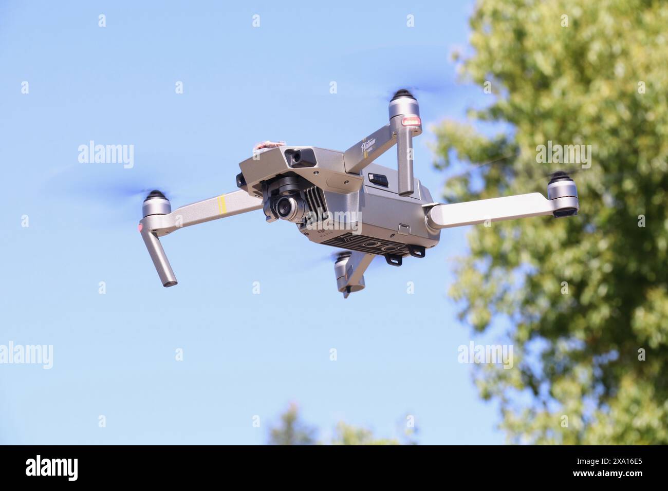 Propeller tree hi-res stock photography and images - Alamy