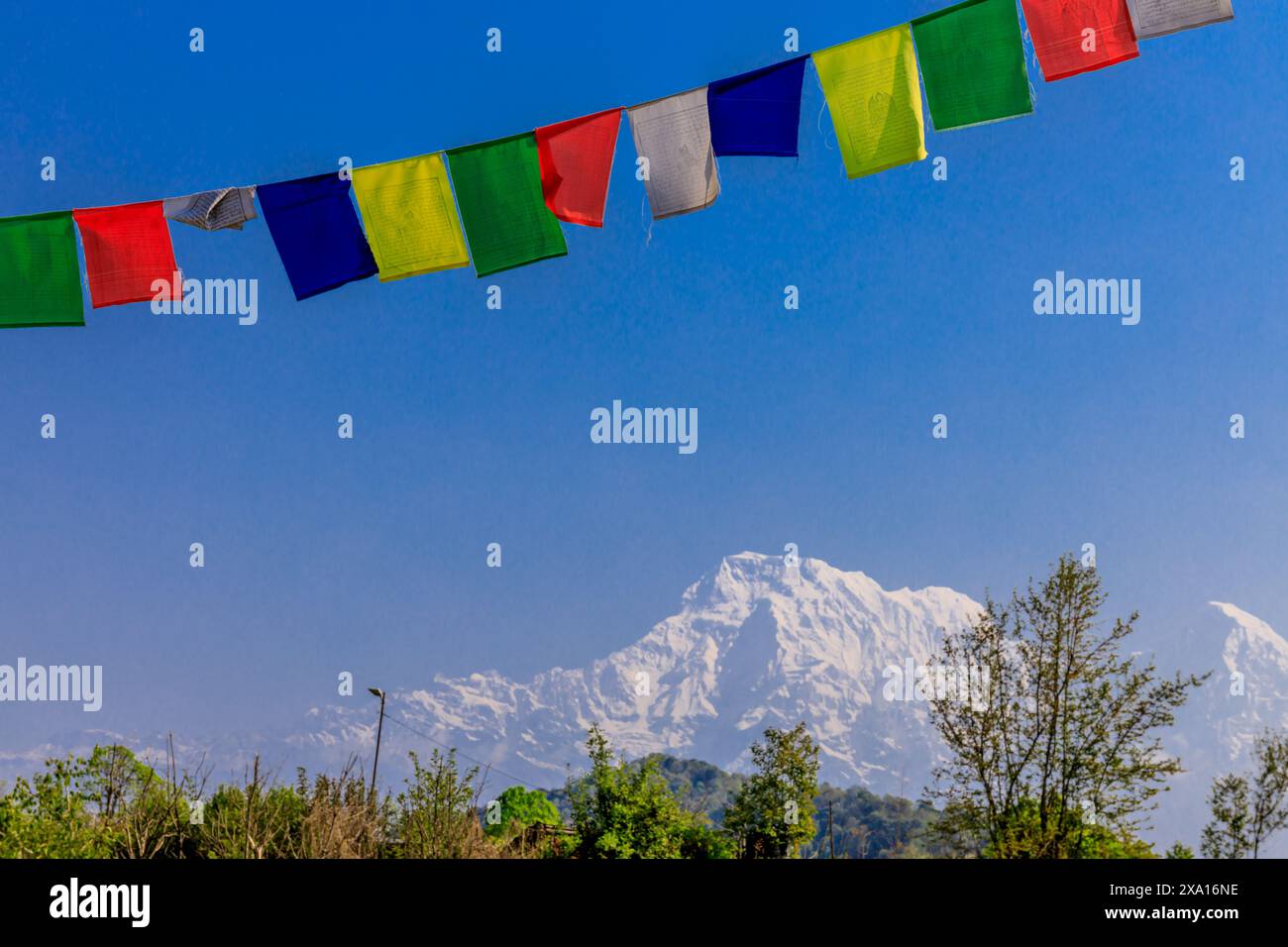 Colorful Nepali and Tibetan prayer flags fluttering in the majestic ...