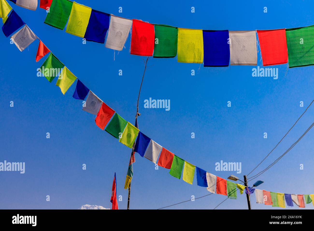 Colorful Nepali and Tibetan prayer flags fluttering in the majestic ...