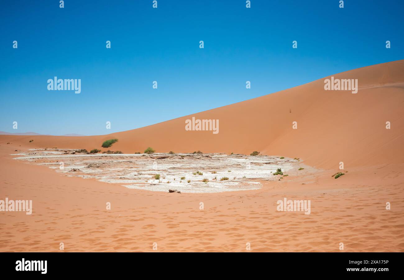 A Dried-up water pan in the desert surrounded by sparse plant growth ...