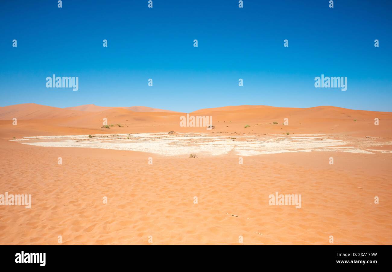 A Dried-up water pan in the desert surrounded by sparse plant growth ...
