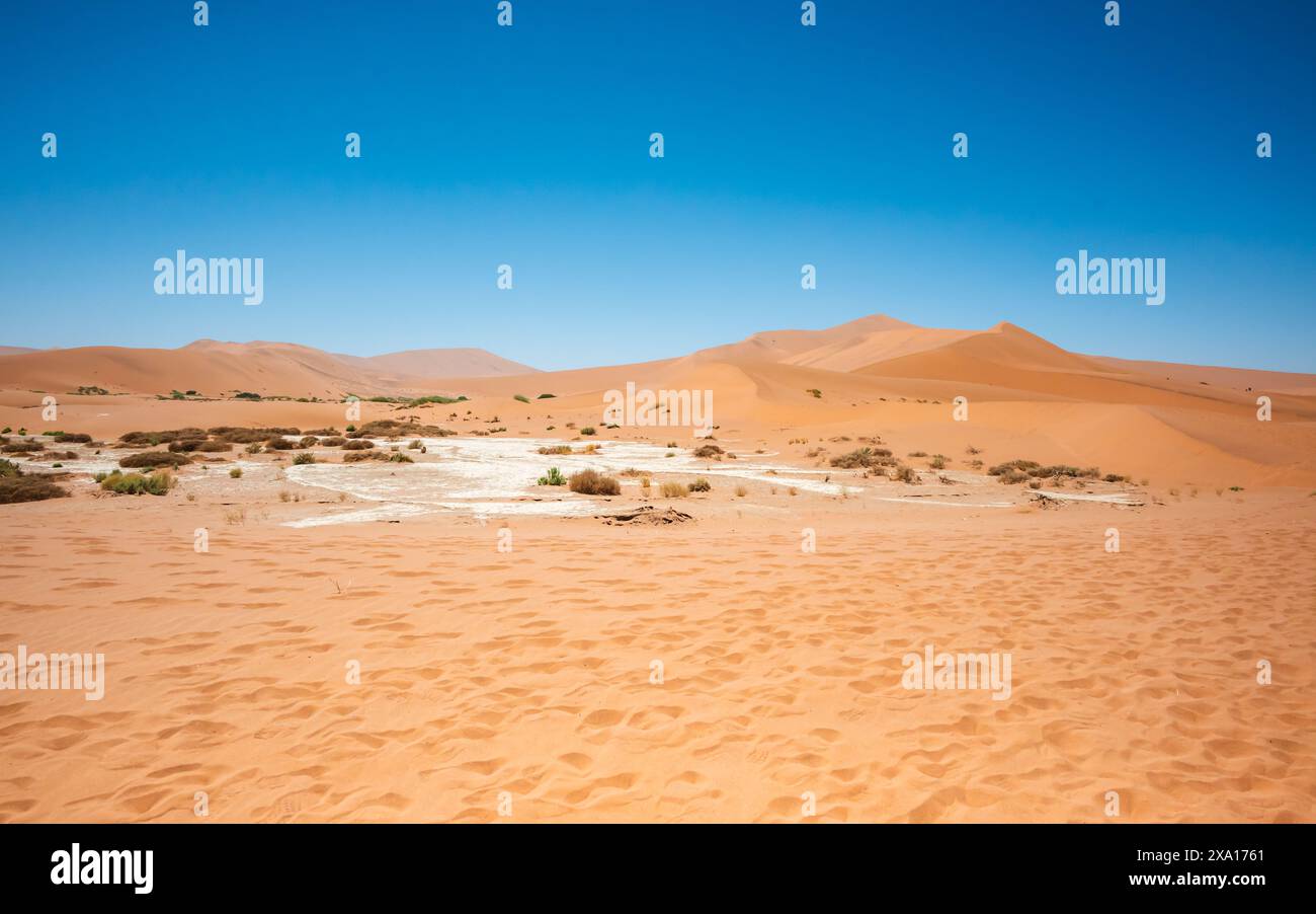 A Dried-up water pan in the desert surrounded by sparse plant growth ...