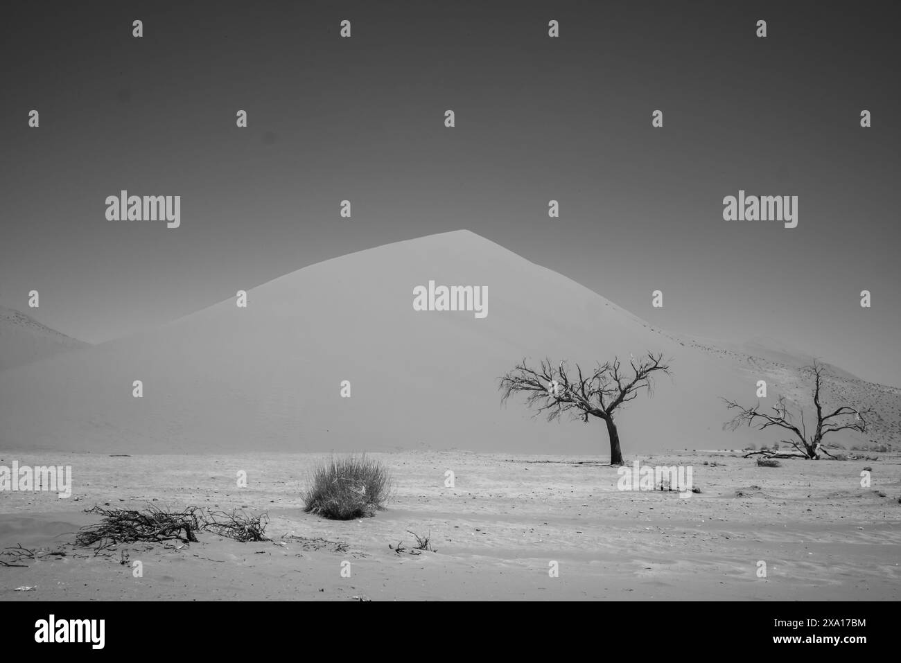 Three trees in snow with mountain backdrop Stock Photo - Alamy
