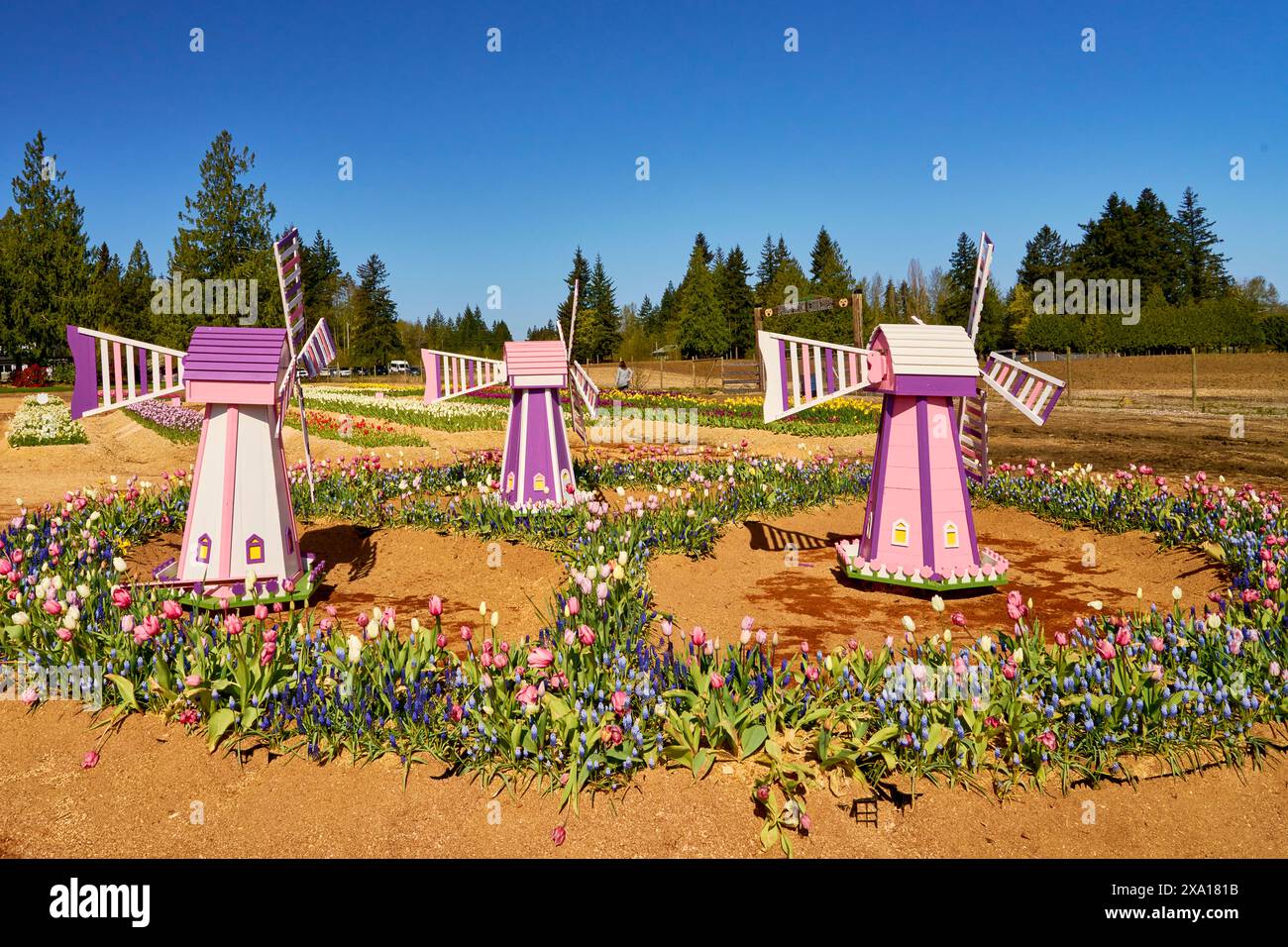 Three pink miniature wooden display windmills surrounded by a ring of ...