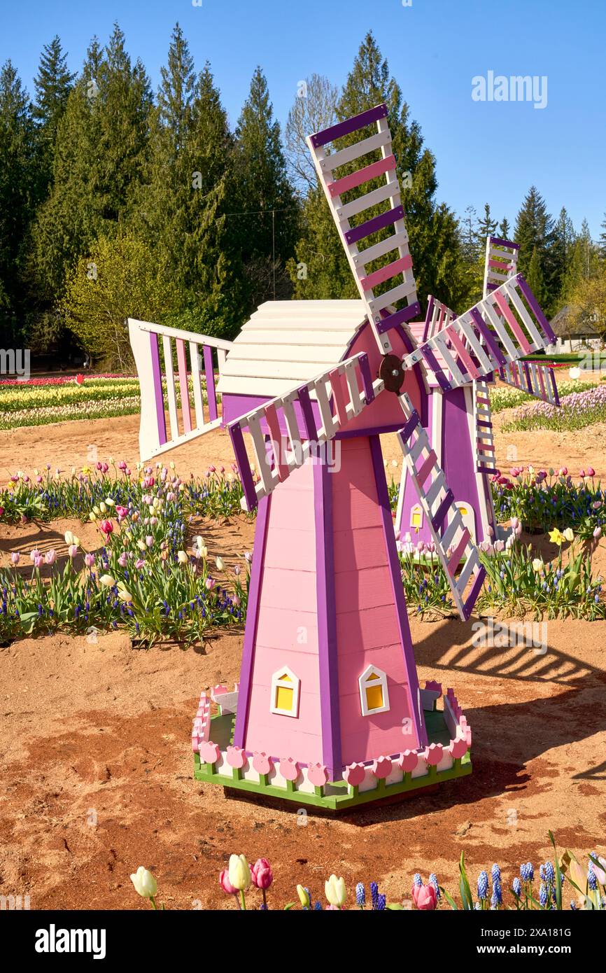 A colorful miniature bright pink display windmill surrounded by ...