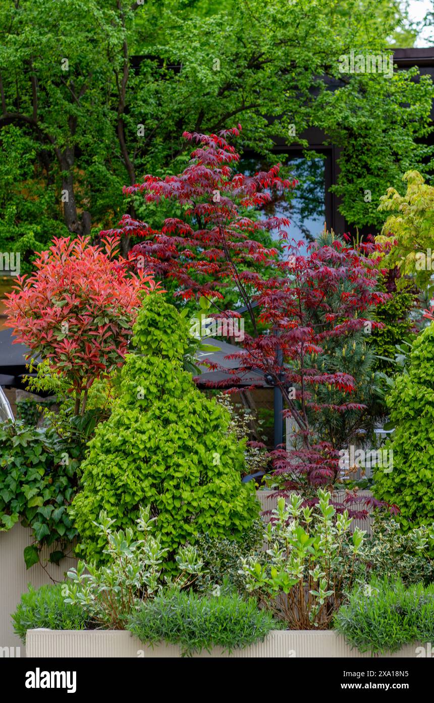 Apartment building plants bushes hi-res stock photography and images ...