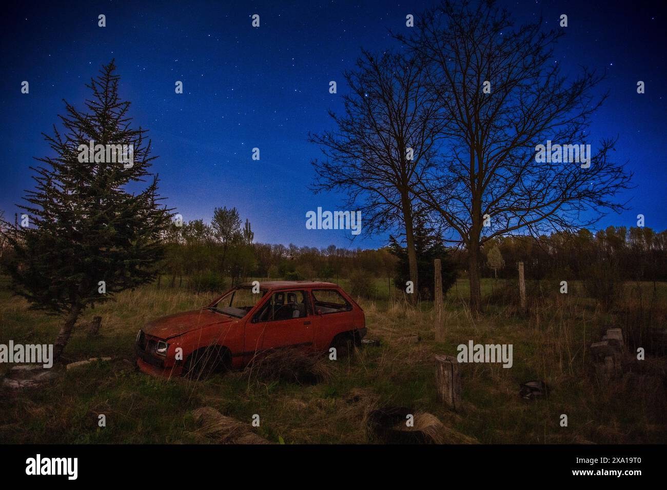 Car parked under trees hi-res stock photography and images - Alamy