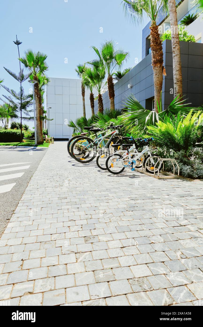 a line bicycles in the park Stock Photo - Alamy
