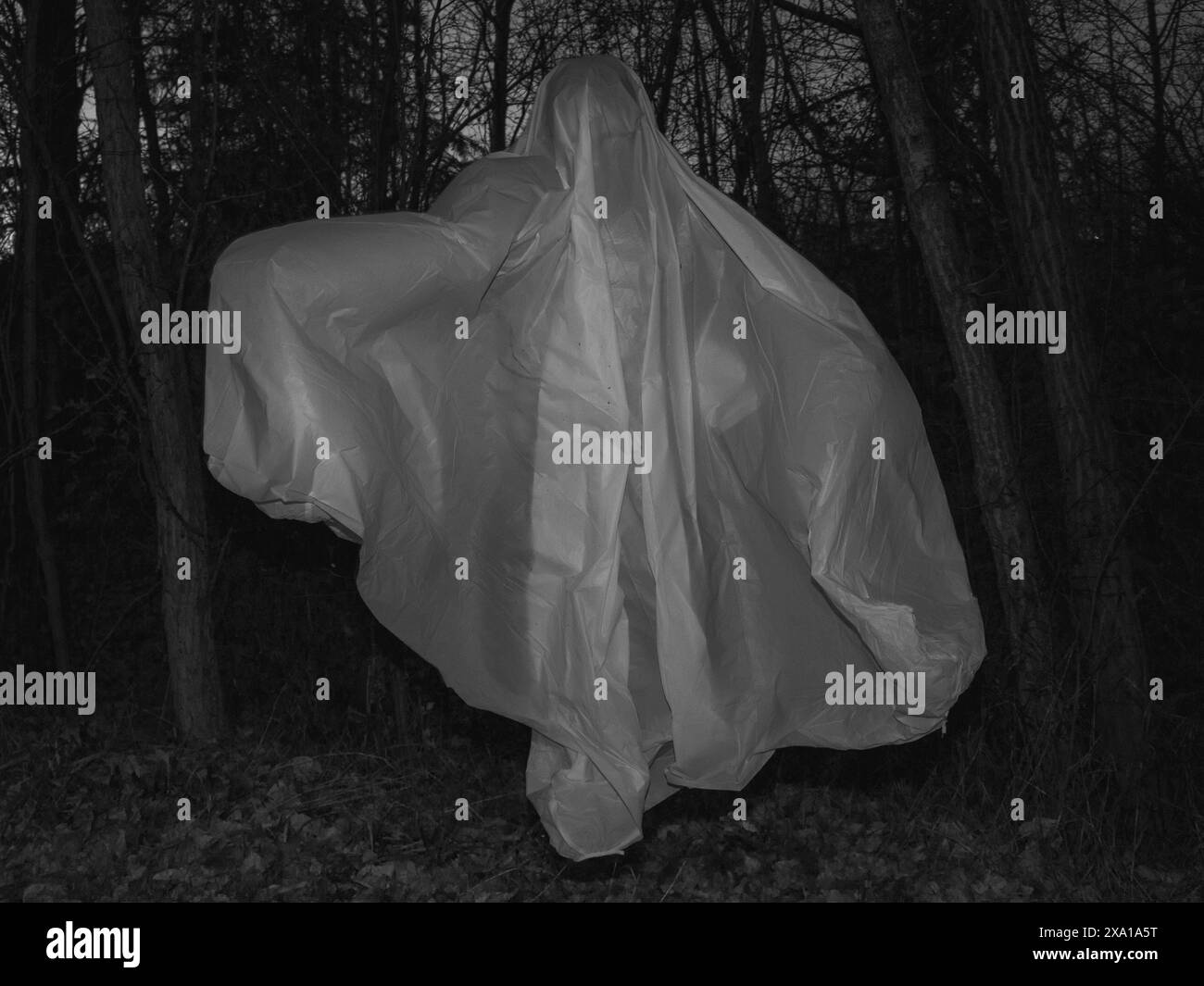 Flying through the forest hi-res stock photography and images - Alamy