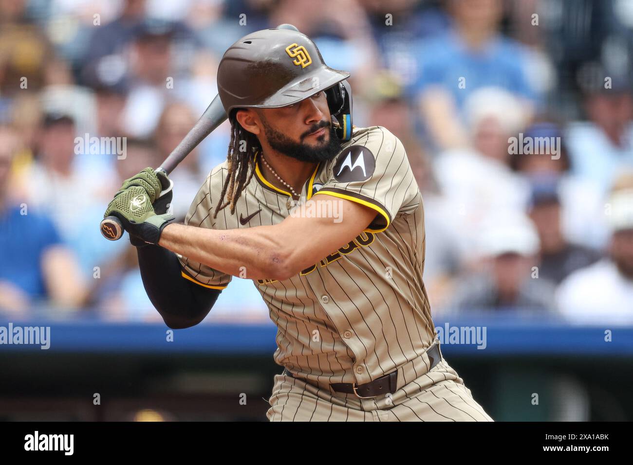 June 2, 2024: San Diego Padres outfielder Fernando Tatis Jr. (23) bats ...