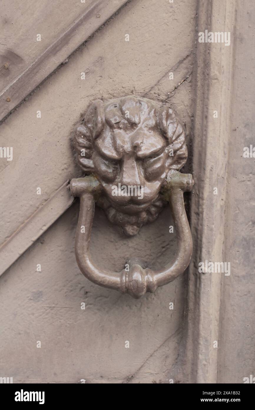 Liondoor hi-res stock photography and images - Alamy