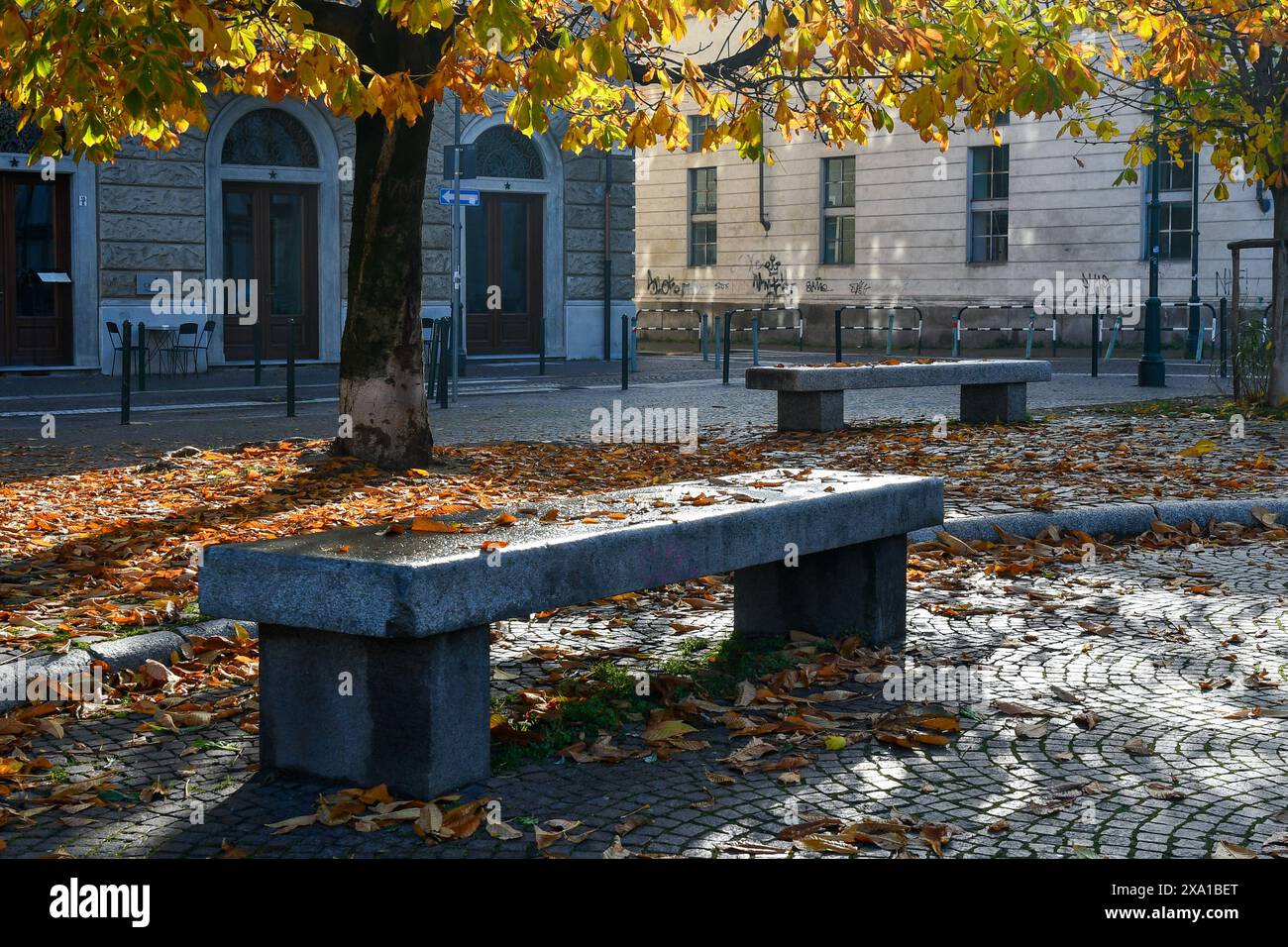 Stone benches and sidewalk covered with golden leaves fallen by a horse ...