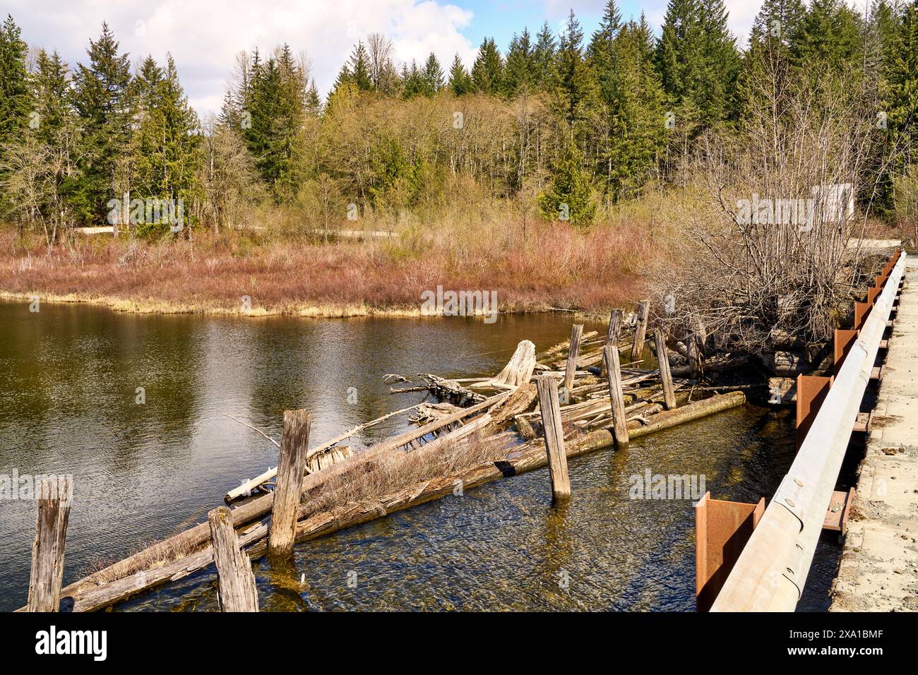 The new logging road bridge and the old remains of a historic railway ...