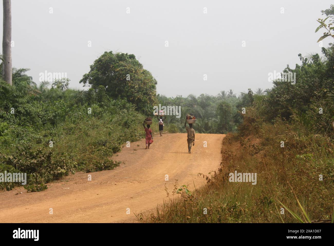 Villagers walking along a dusty rural path surrounded by lush greenery ...