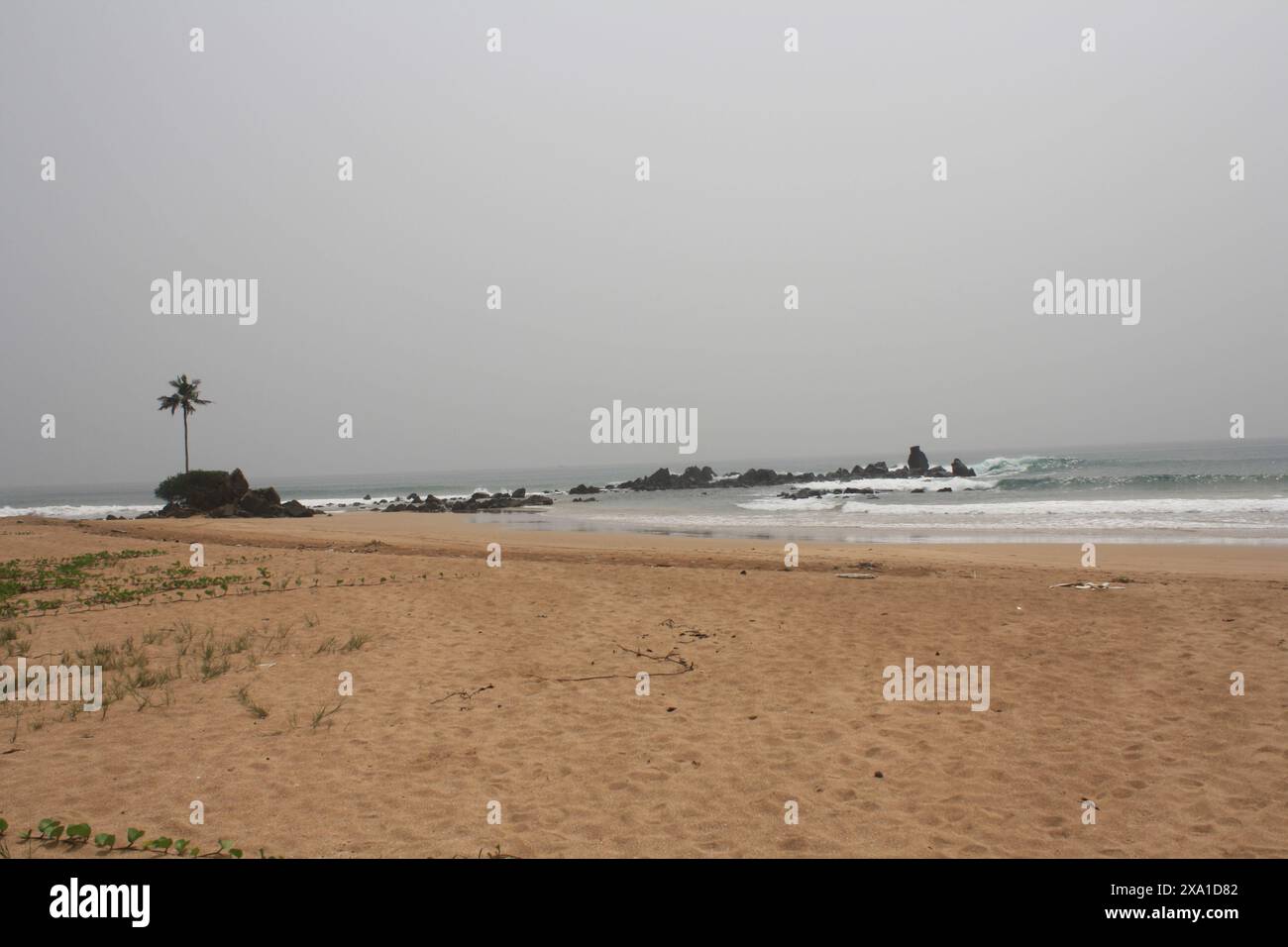 An expansive and quiet beach with golden sand stretching to the horizon ...