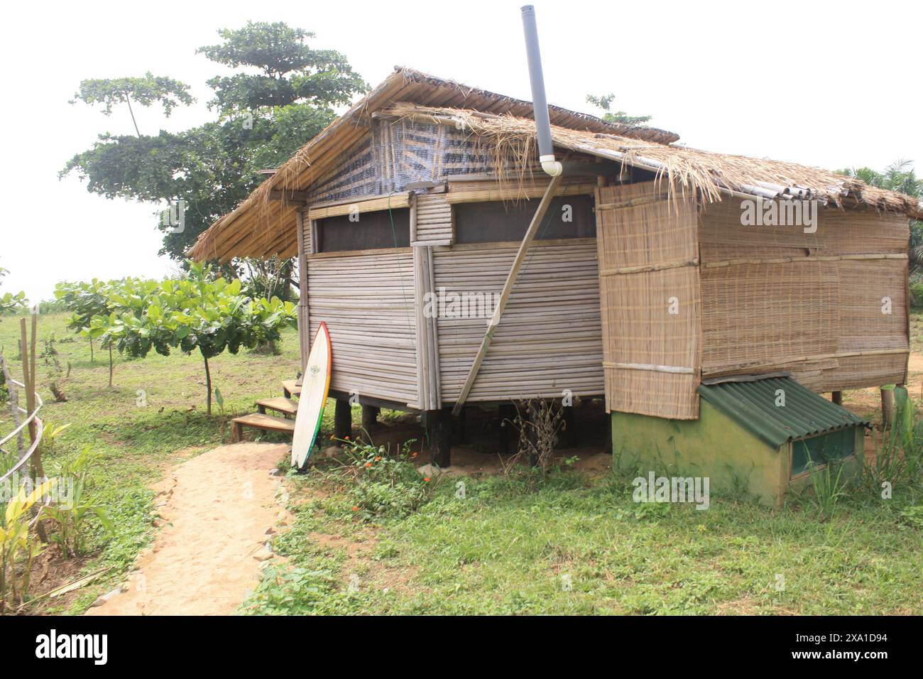 A traditional bamboo bungalow with a thatched roof situated on the lush ...