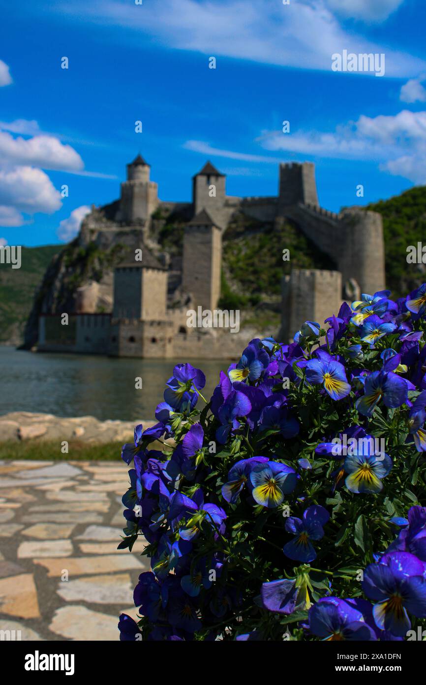 Colorful flowers near castle on waterfront Stock Photo - Alamy