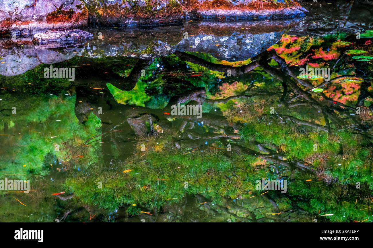 Colorful East Lake Water Reflection Abstract Garden Heian Shinto Shrine ...
