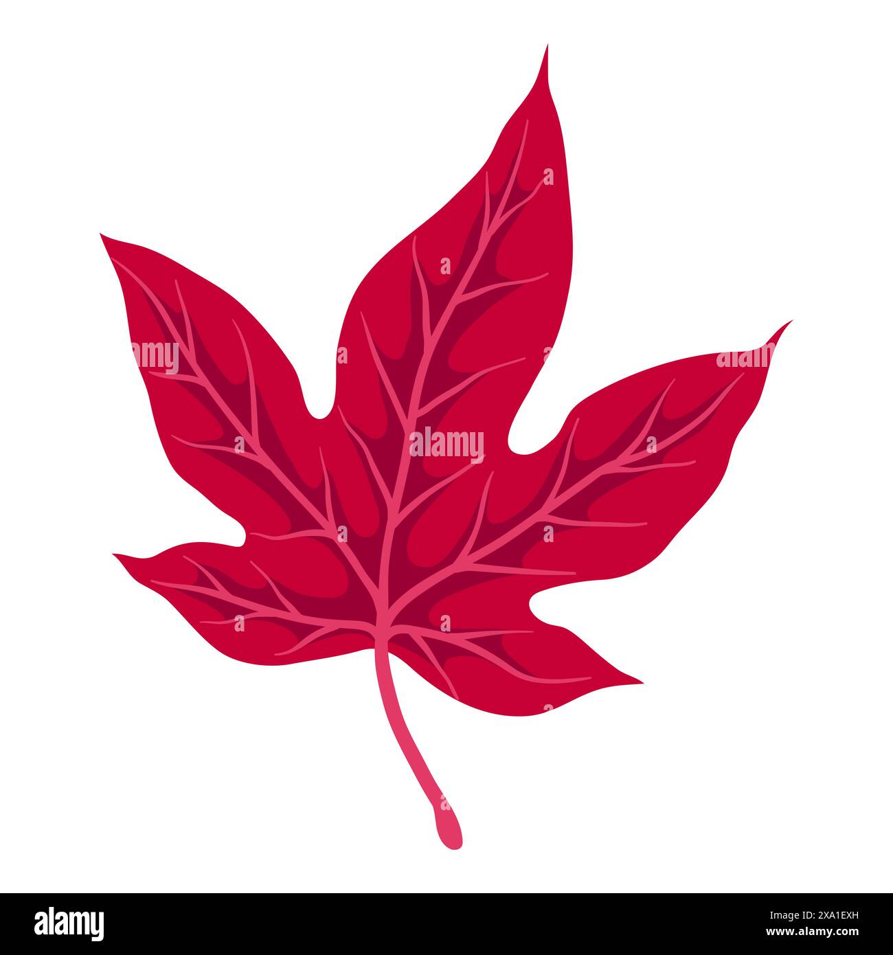Illustration of sweet gum leaf. Decorative autumn foliage Stock Vector ...