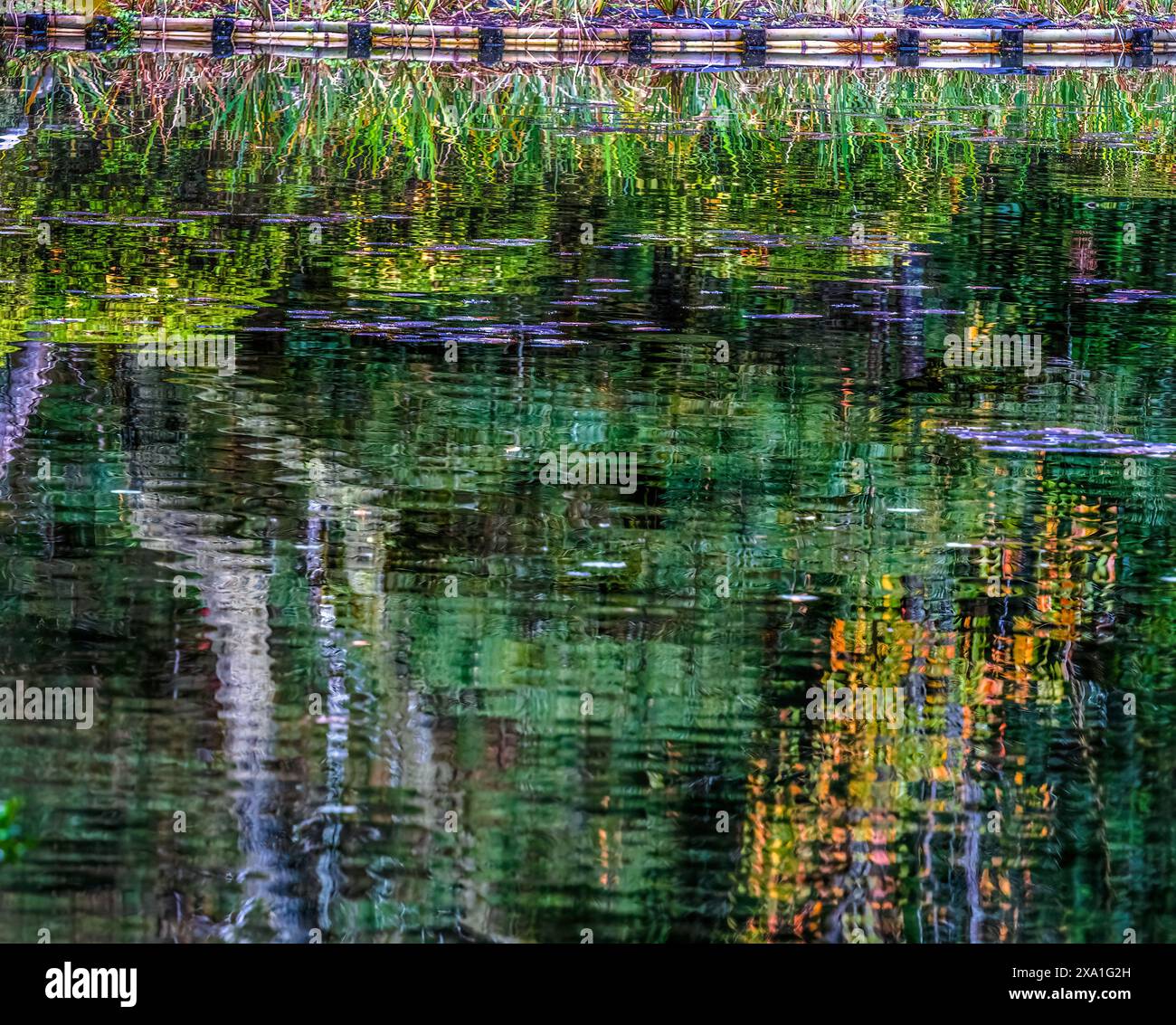Colorful East Lake Water Reflection Abstract Garden Heian Shinto Shrine ...