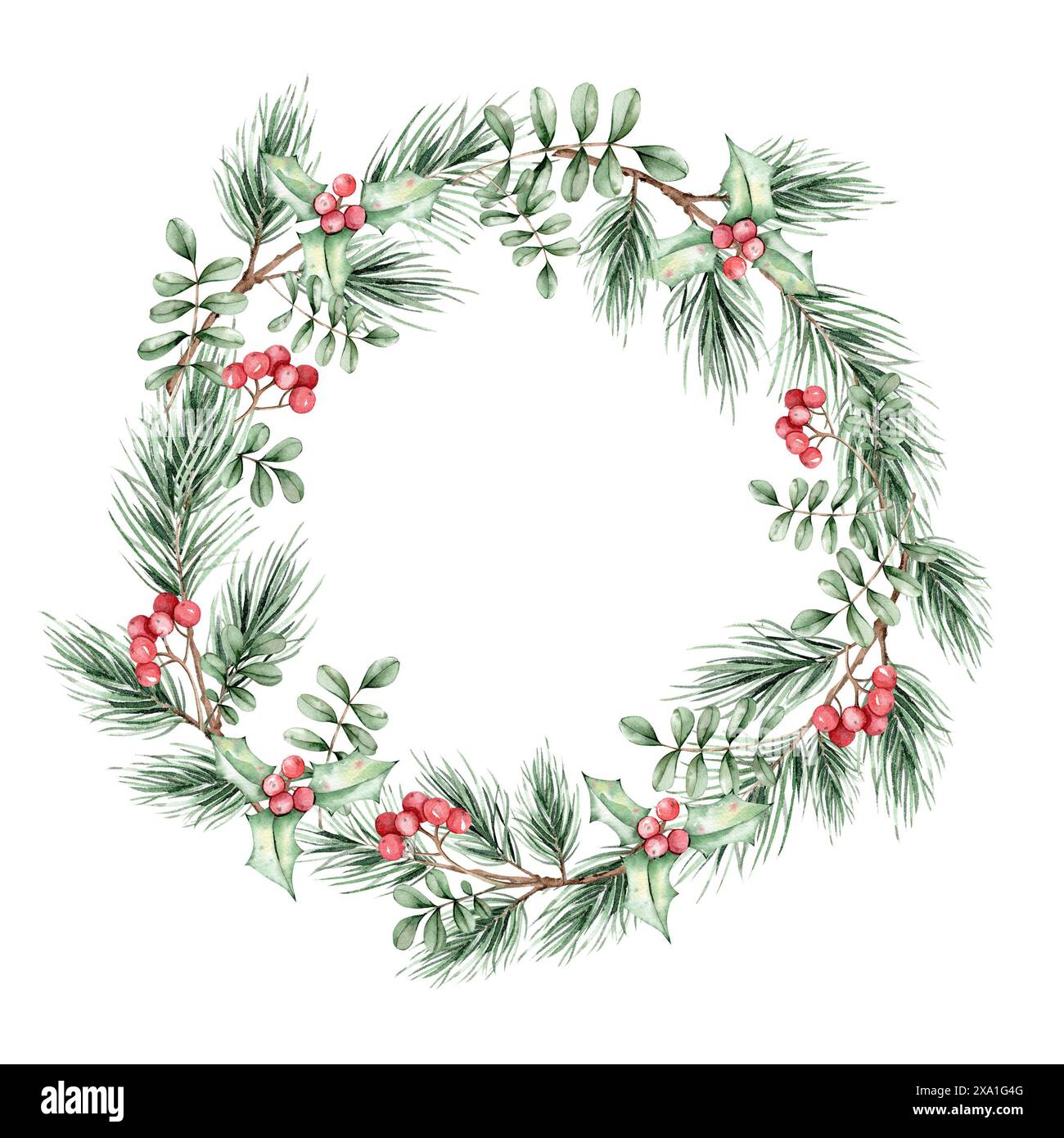 Watercolor christmas illustration fir Cut Out Stock Images & Pictures ...