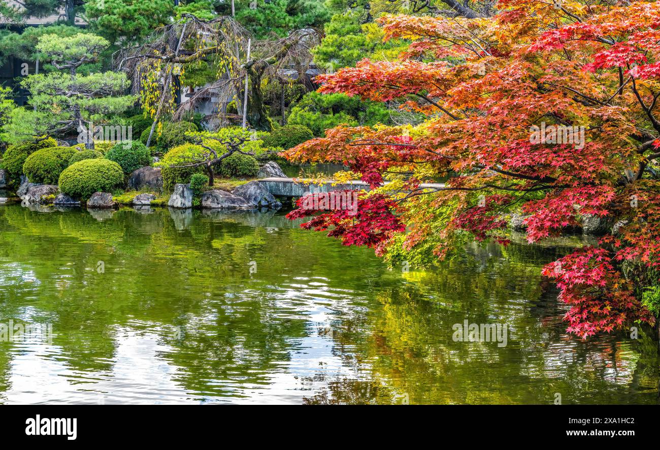 Colorful Stone Bridge East Lake Water Reflection Abstract Garden Heian ...