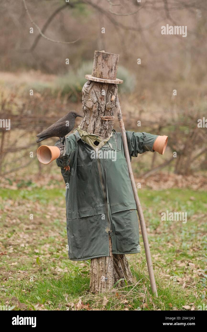 A spooky scarecrow with a hat atop a wooden pole Stock Photo - Alamy