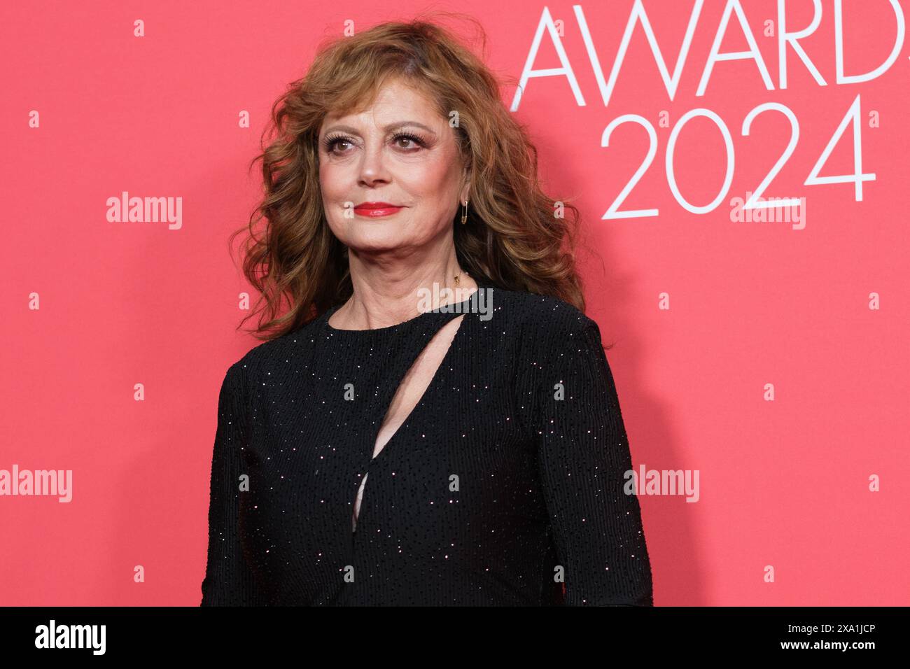 Madrid, Spain. 03rd June, 2024. Susan Sarandon attend the photocall for ...