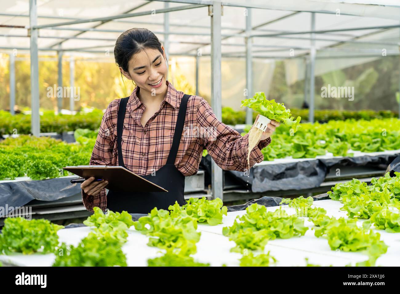 Asian woman watering plants hi-res stock photography and images - Alamy