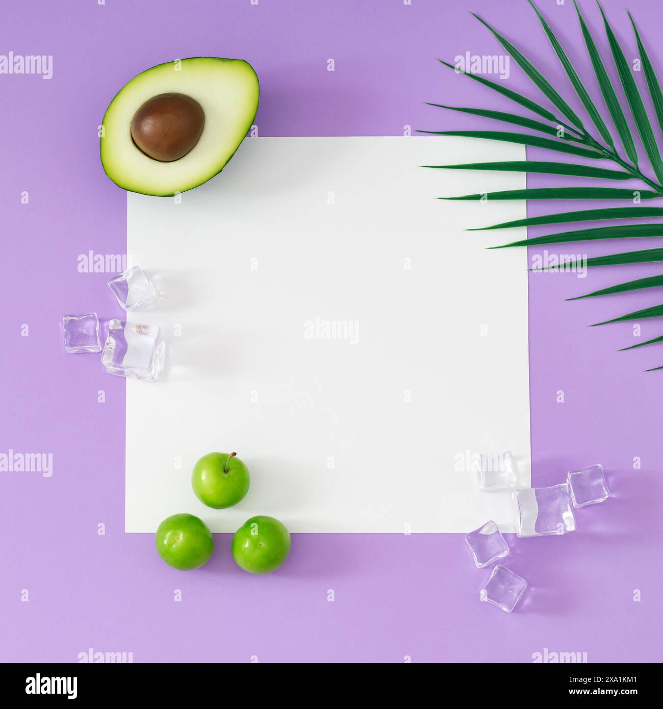Creative trendy layout made with avocado, tropical palm tree leaf ...