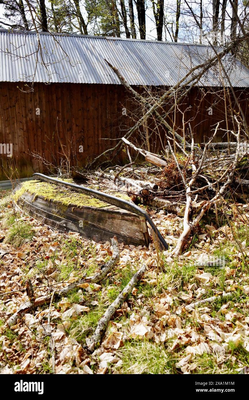 A rustic wooden shed with fallen branches and autumn leaves Stock Photo ...
