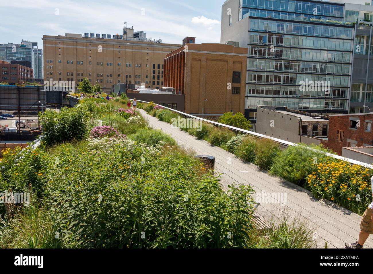 Tourists enjoying the elevated linear High Line park in New York City ...