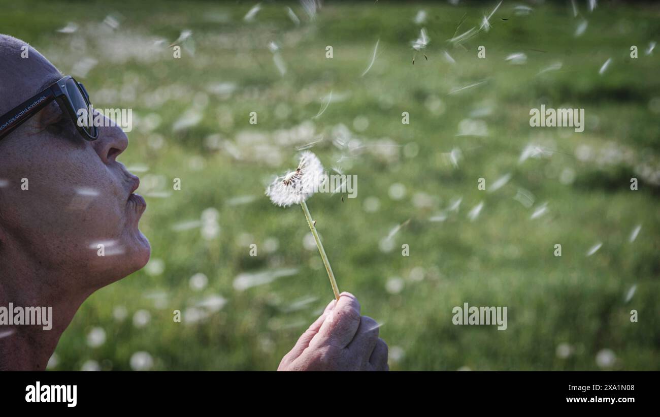 Blowing puffball in nature hi-res stock photography and images - Alamy