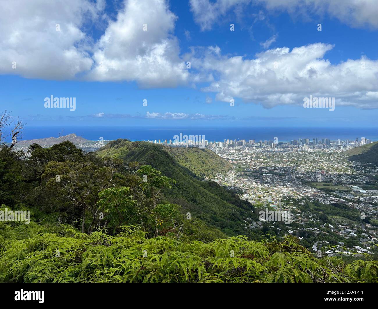 Aerial scenic view verdant vegetation hi-res stock photography and ...