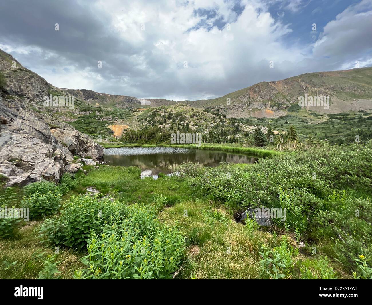 Grassy shore calm pond hi-res stock photography and images - Alamy