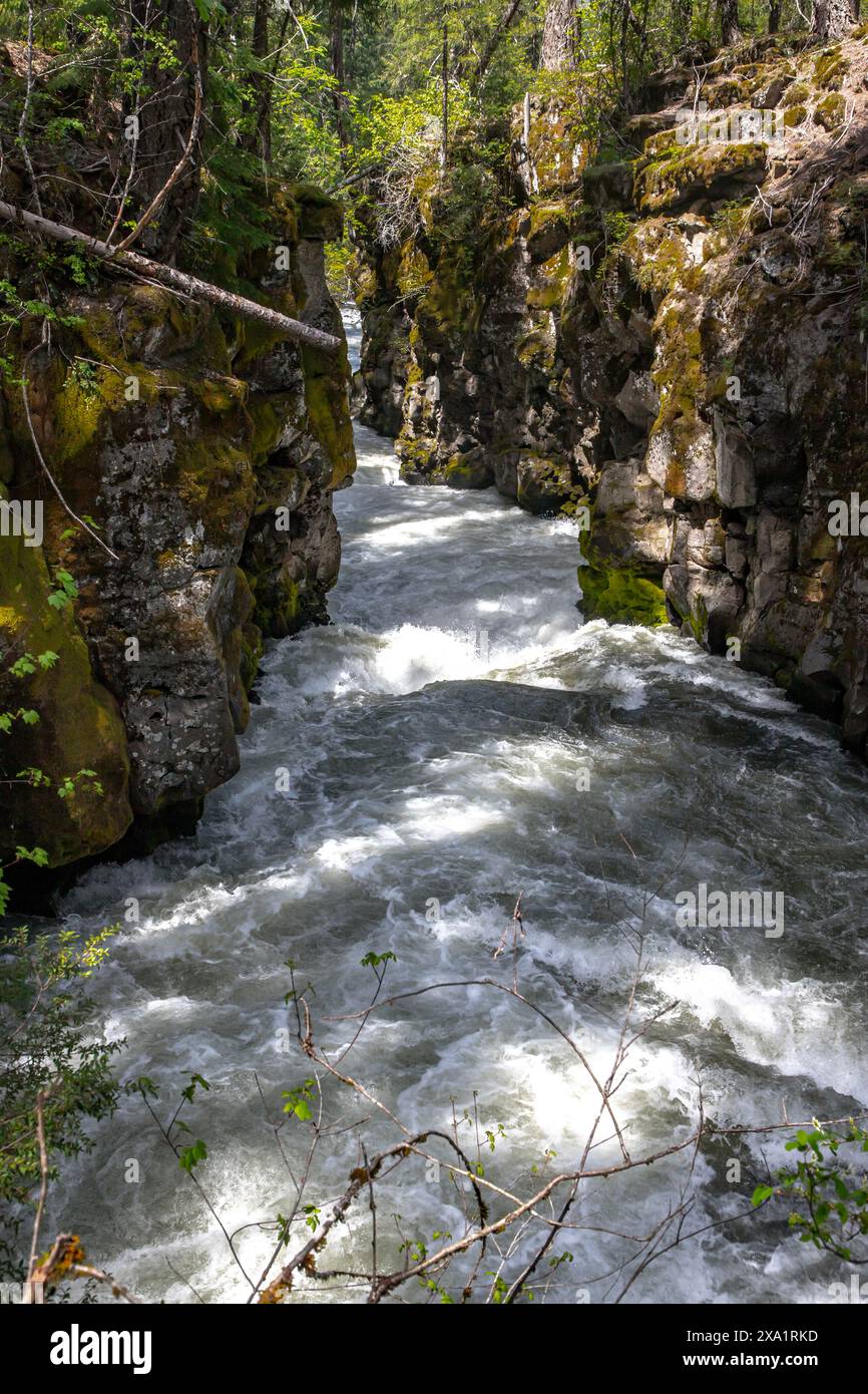 The Rogue Gorge is the trailhead of a 3.5 mile hike along the ...