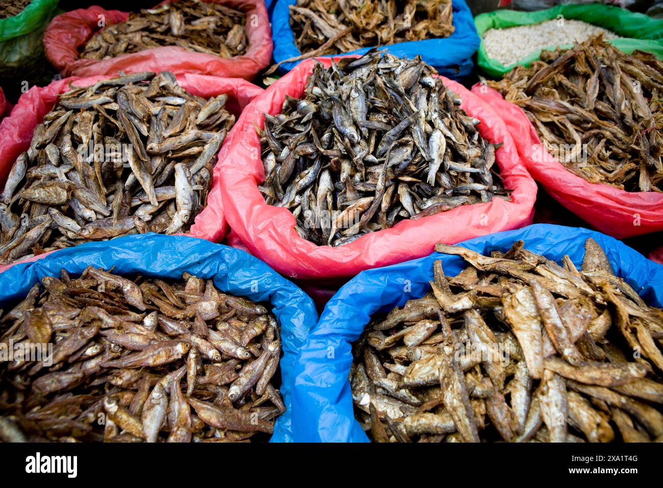 Dried fish on display at Carbon Market located in Cebu City ...