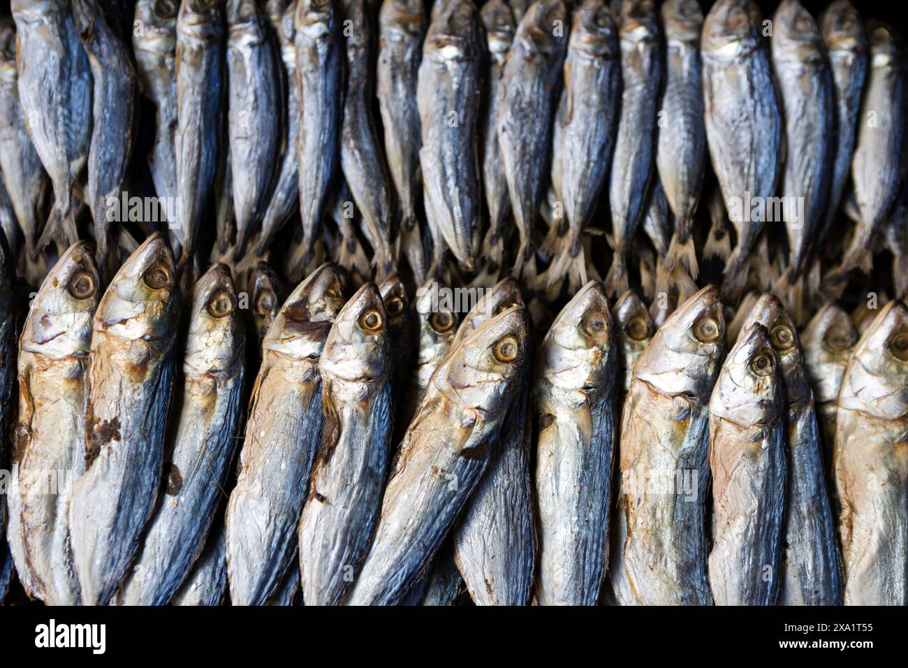 Dried fish on display at Carbon Market located in Cebu City ...