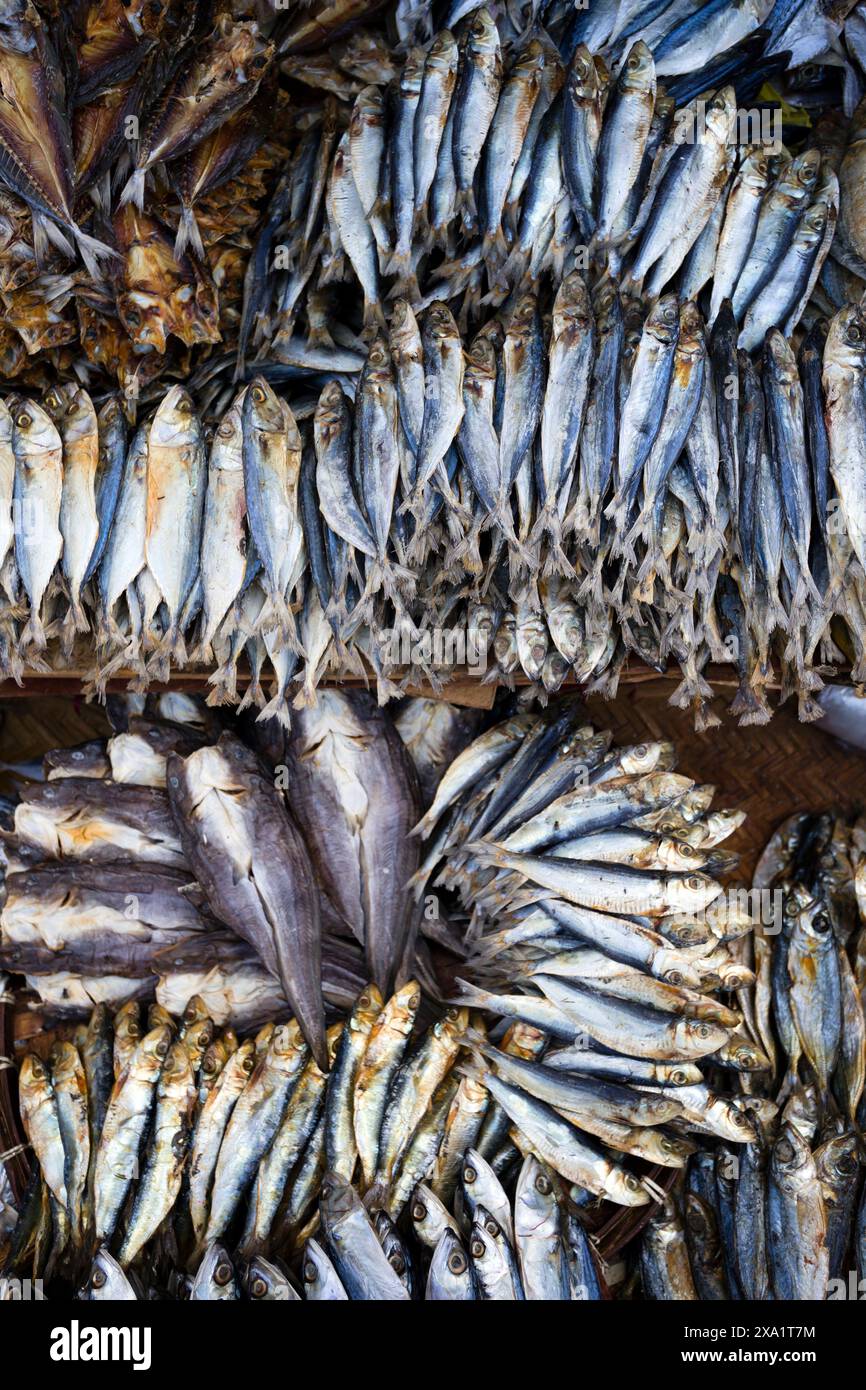 Dried fish on display at Carbon Market located in Cebu City ...