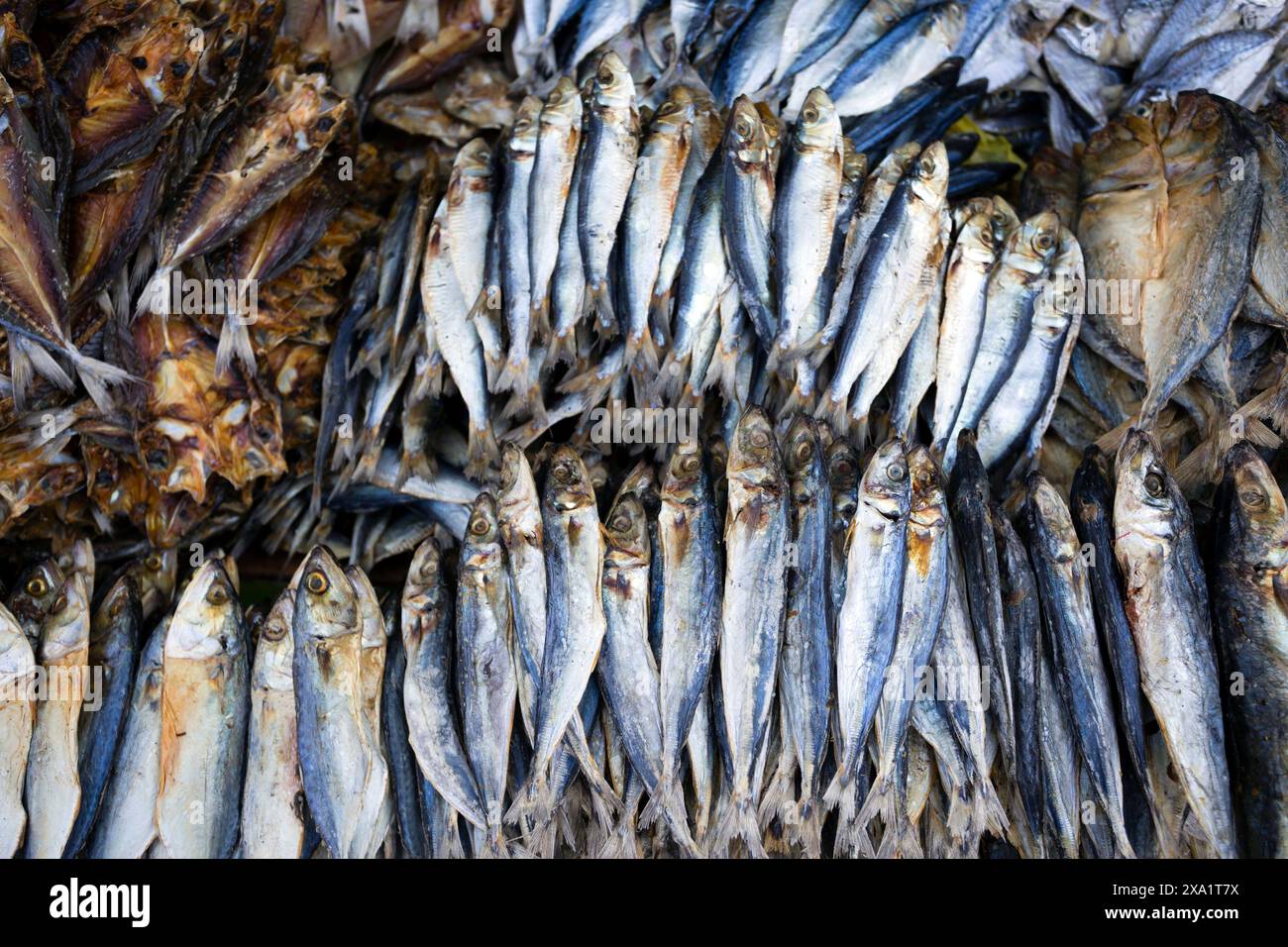 Dried fish on display at Carbon Market located in Cebu City ...