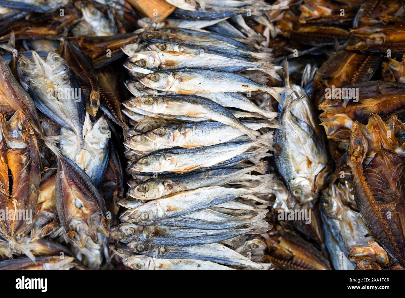 Dried fish on display at Carbon Market located in Cebu City ...