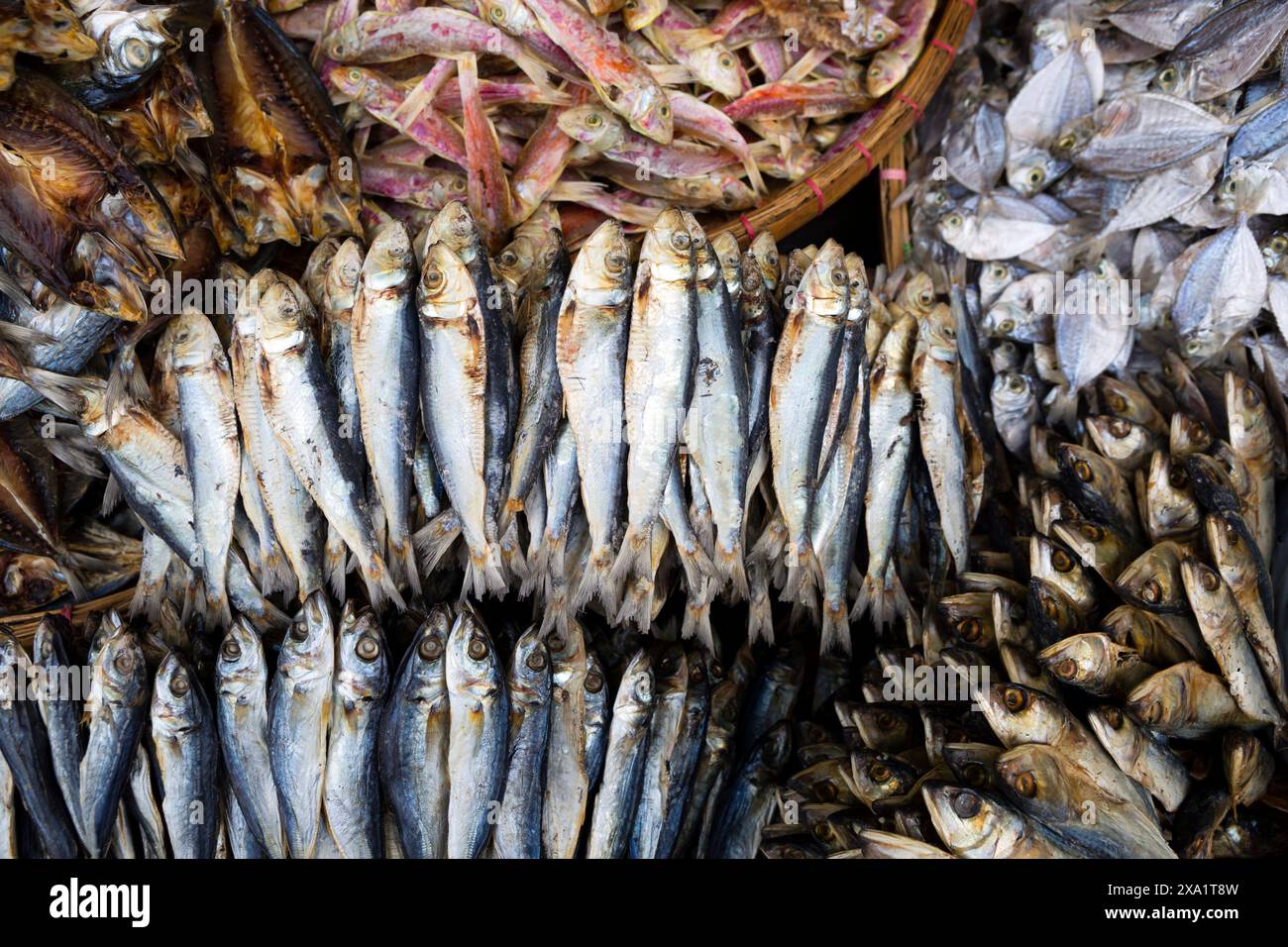 Dried fish on display at Carbon Market located in Cebu City ...