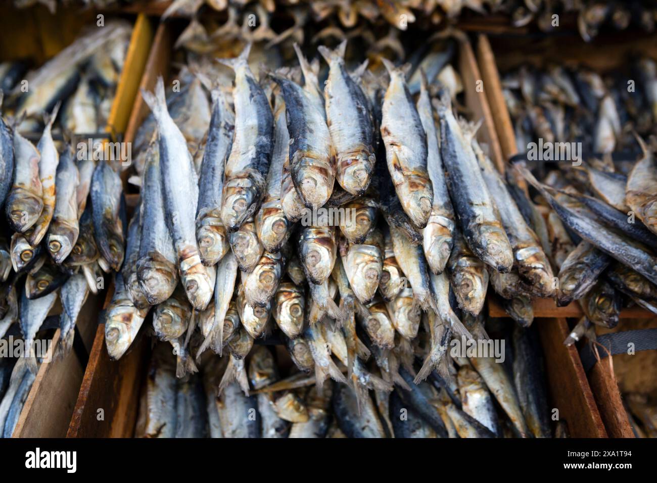 Dried fish market in cebu hi-res stock photography and images - Alamy